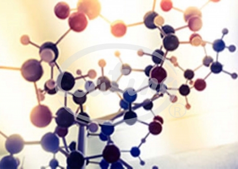 Coating P. Materials Co., Ltd. - Products - Polyester Polyol ...